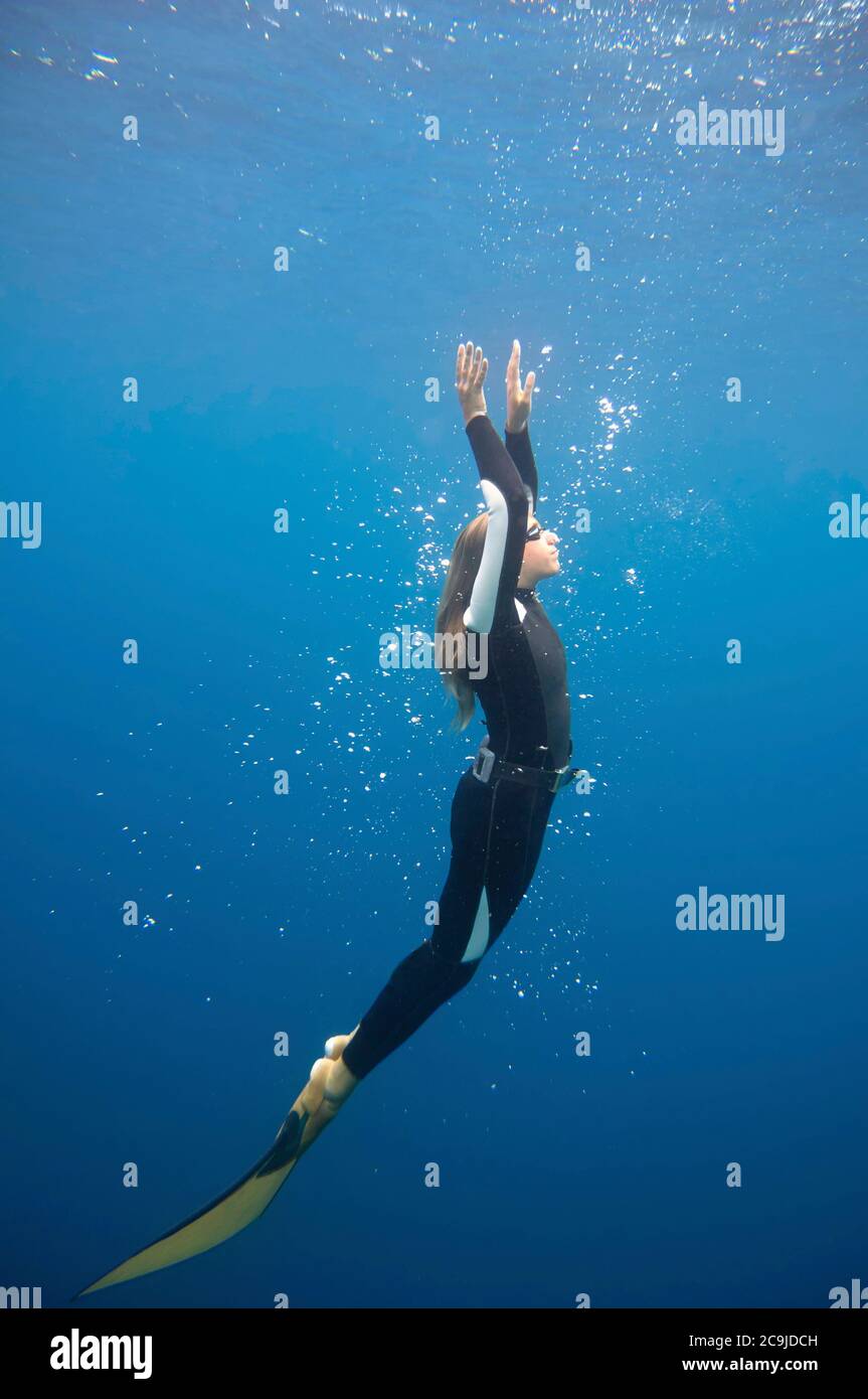 Young female free diver underwater Stock Photo - Alamy