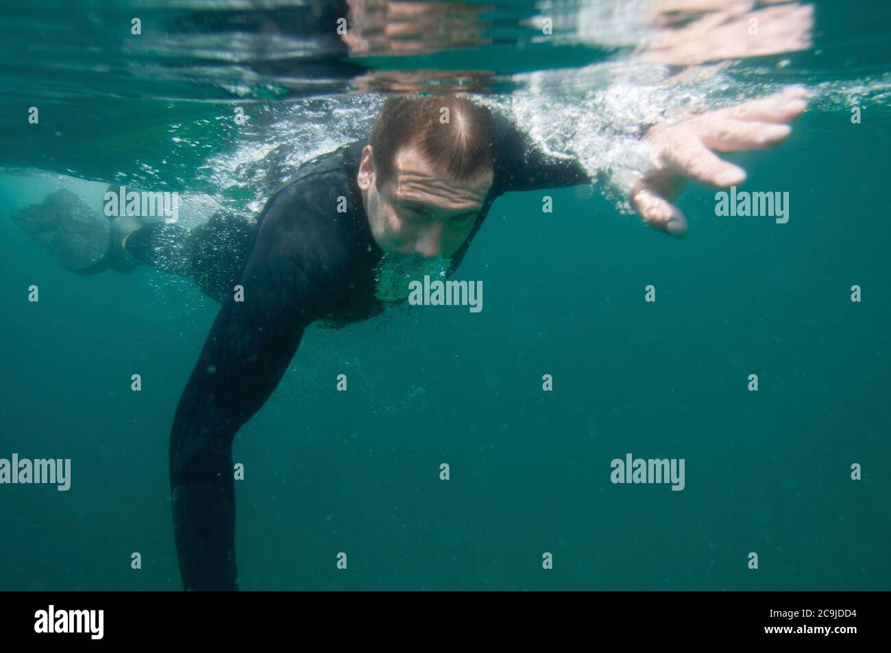 Underwater image of swimmer in wet suit swimming strongly through murky ...