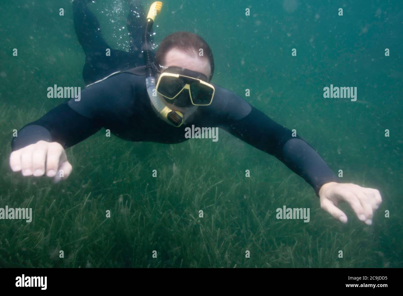 Sea under particles hi-res stock photography and images - Alamy