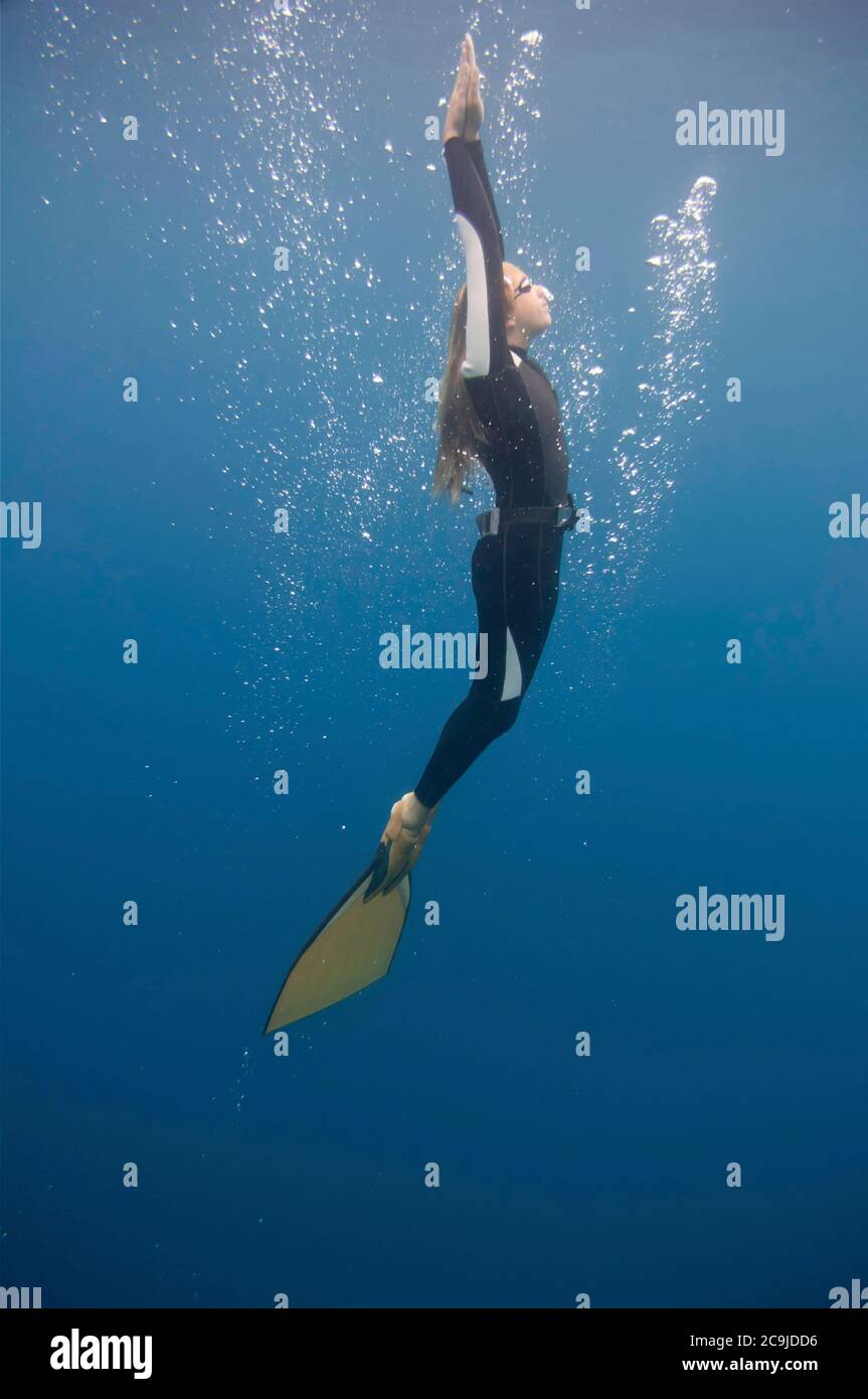 Free diver ascending to the surface hi-res stock photography and images ...
