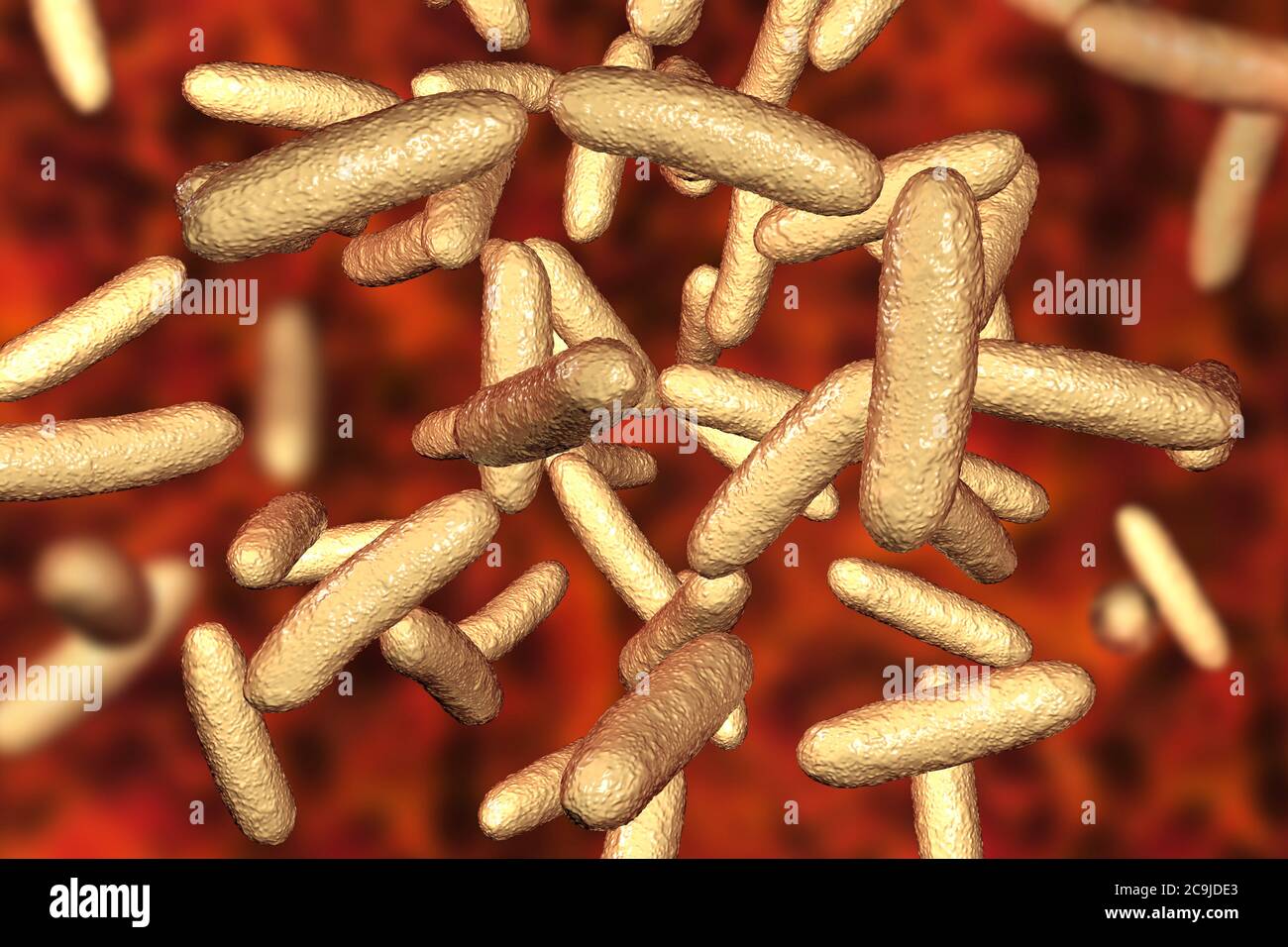 Citrobacter hi-res stock photography and images - Alamy
