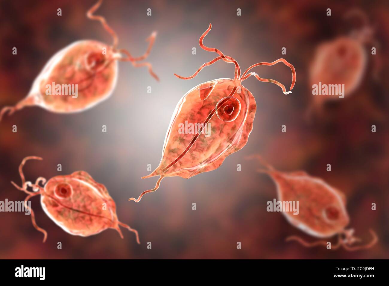 Trichomonas Hominis In Stool