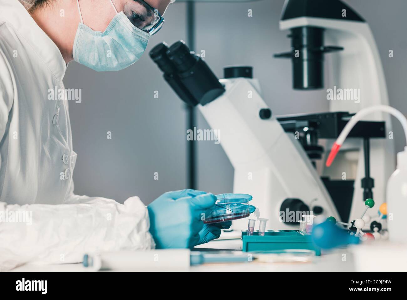 Microbiologist working in laboratory Stock Photo - Alamy