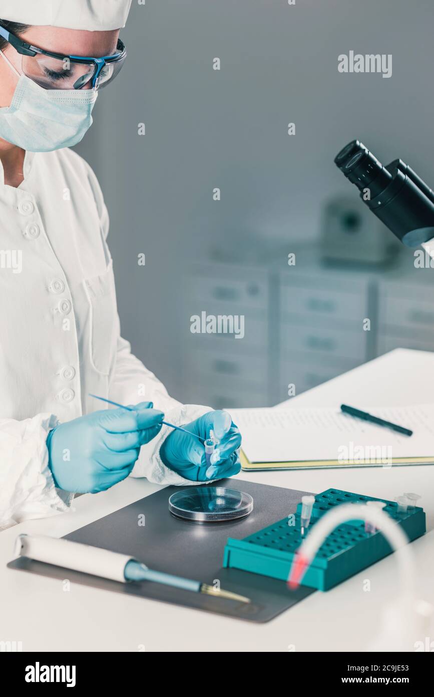 Microbiologist working in laboratory Stock Photo - Alamy