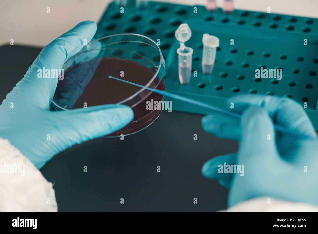 Microbiologist working in laboratory Stock Photo - Alamy
