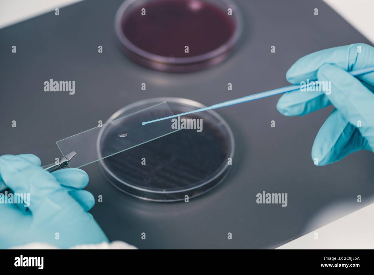 Microbiologist working in laboratory Stock Photo - Alamy