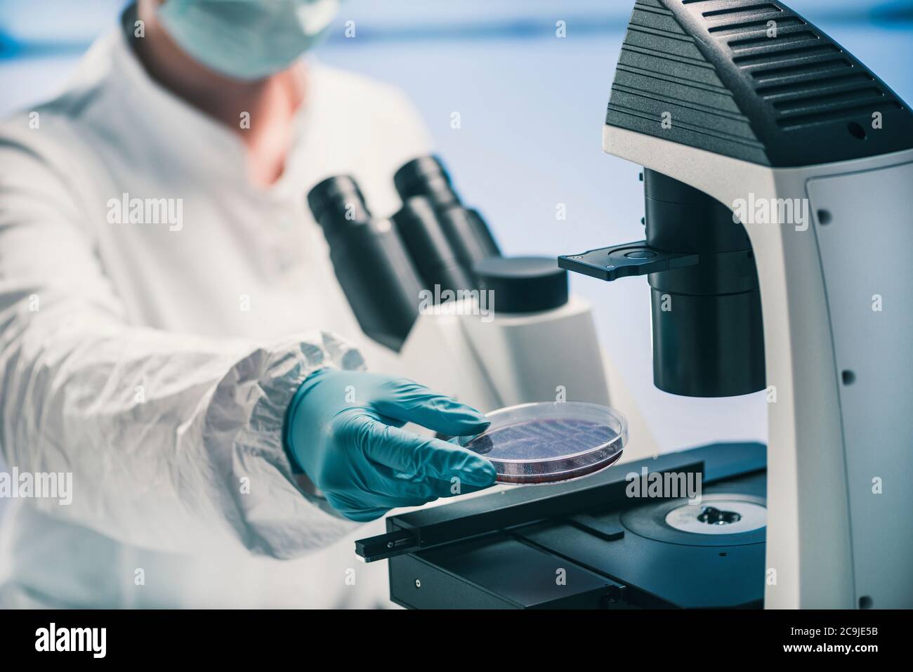 Microscope looking bacteria hi-res stock photography and images - Alamy