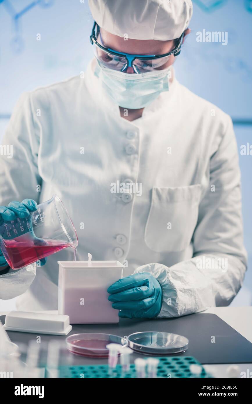 Microbiologist working in laboratory Stock Photo - Alamy