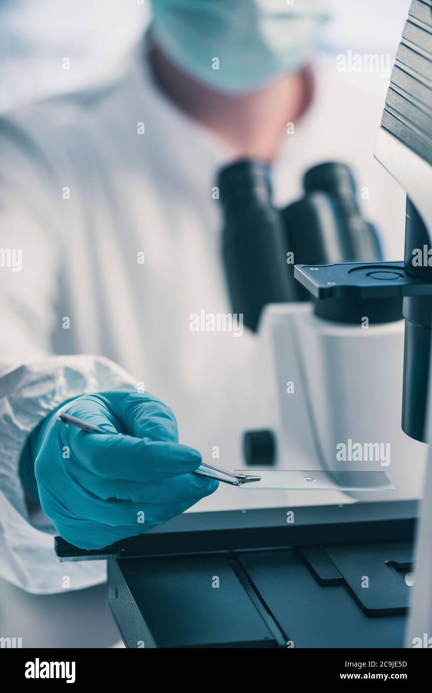 Microbiologist using light microscope Stock Photo - Alamy