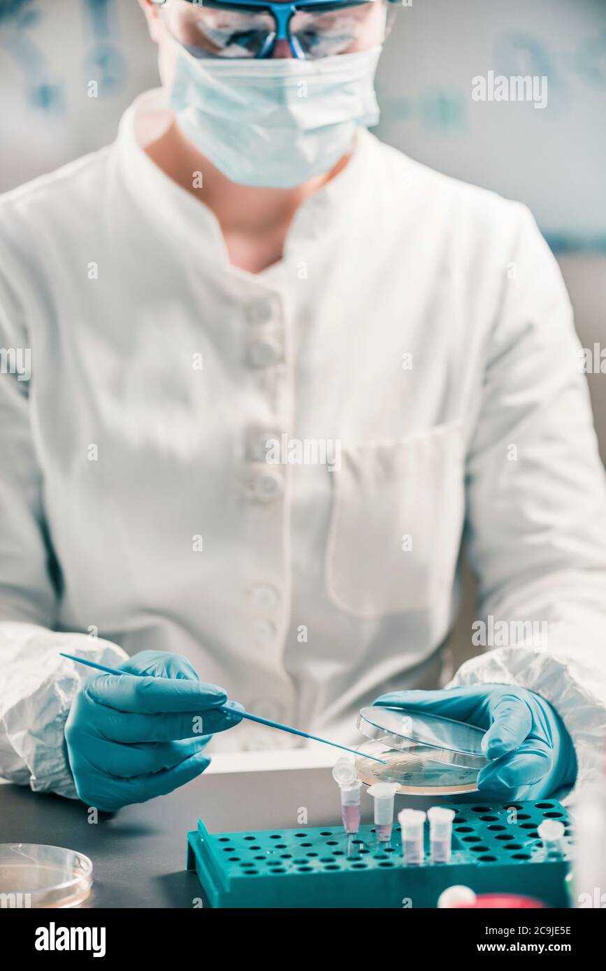 Microbiologist working in laboratory Stock Photo - Alamy