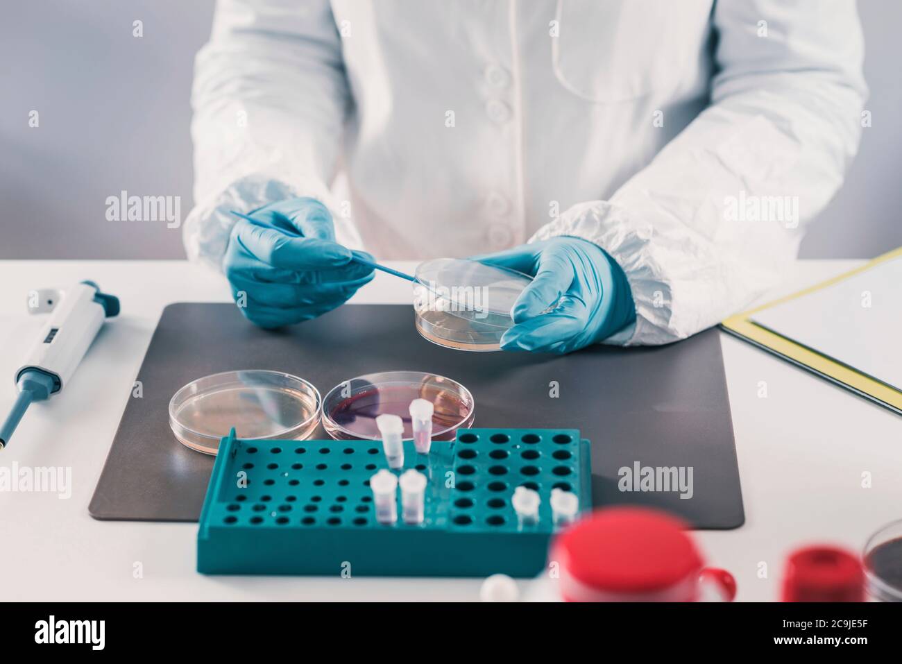 Microbiologist working in laboratory Stock Photo - Alamy