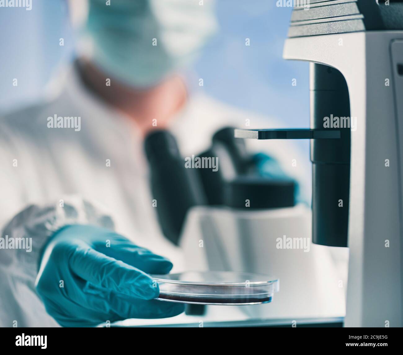 Microbiologist using light microscope Stock Photo - Alamy