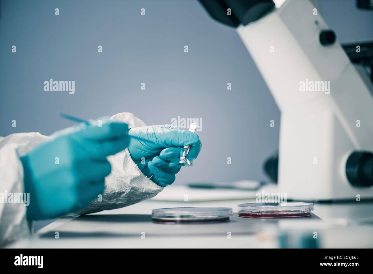 Microbiologist working in laboratory Stock Photo - Alamy