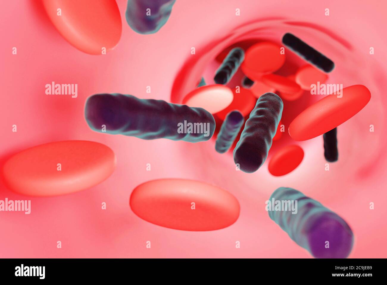 Computer illustration of bacteria (blue) in the bloodstream (red Stock ...