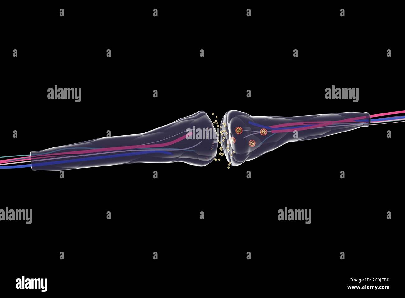 Computer illustration of a nerve synapse, the junction between two ...