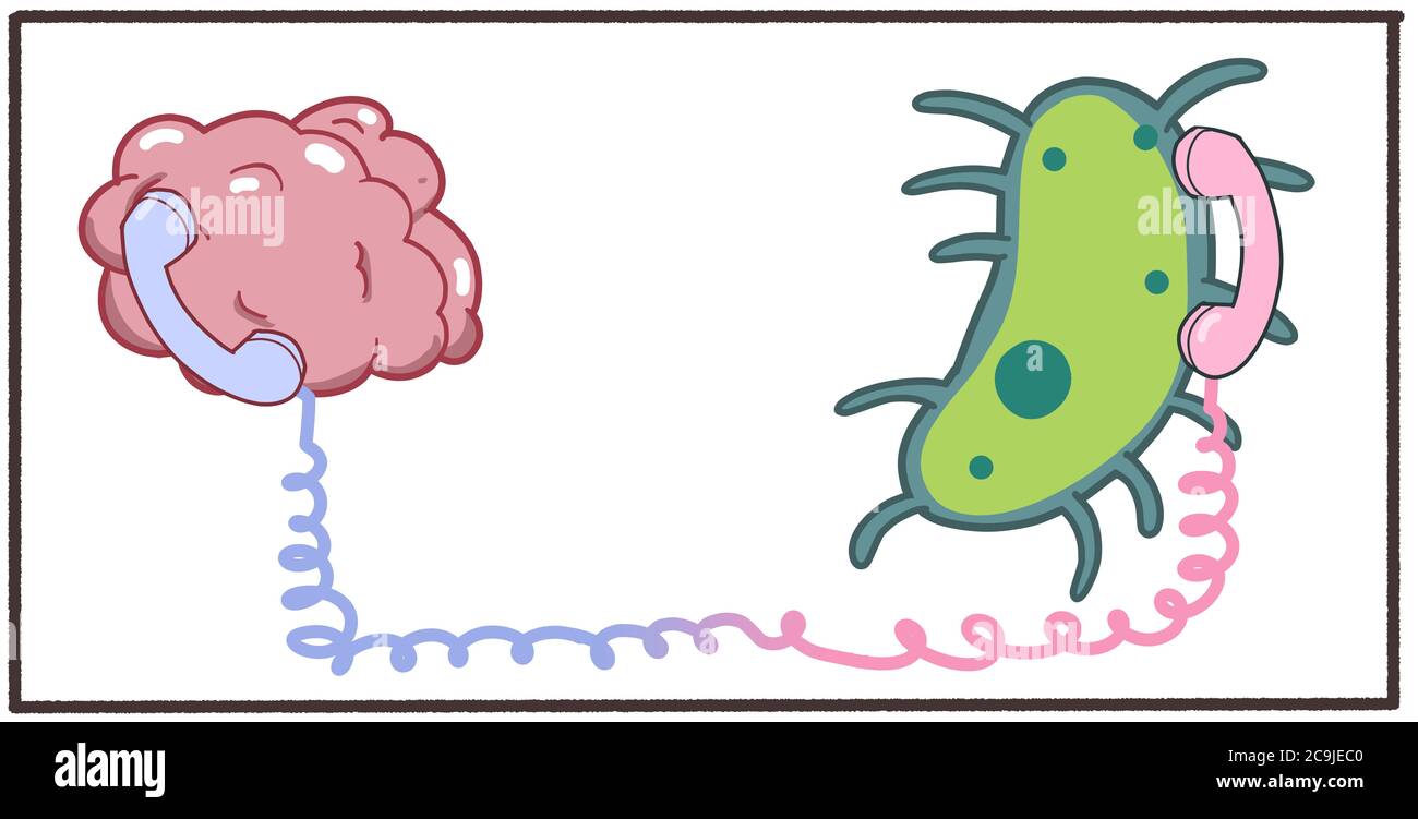 Cartoon showing communication between the brain and microbiome of the ... Cartoon showing communication between the brain and microbiome of the ...