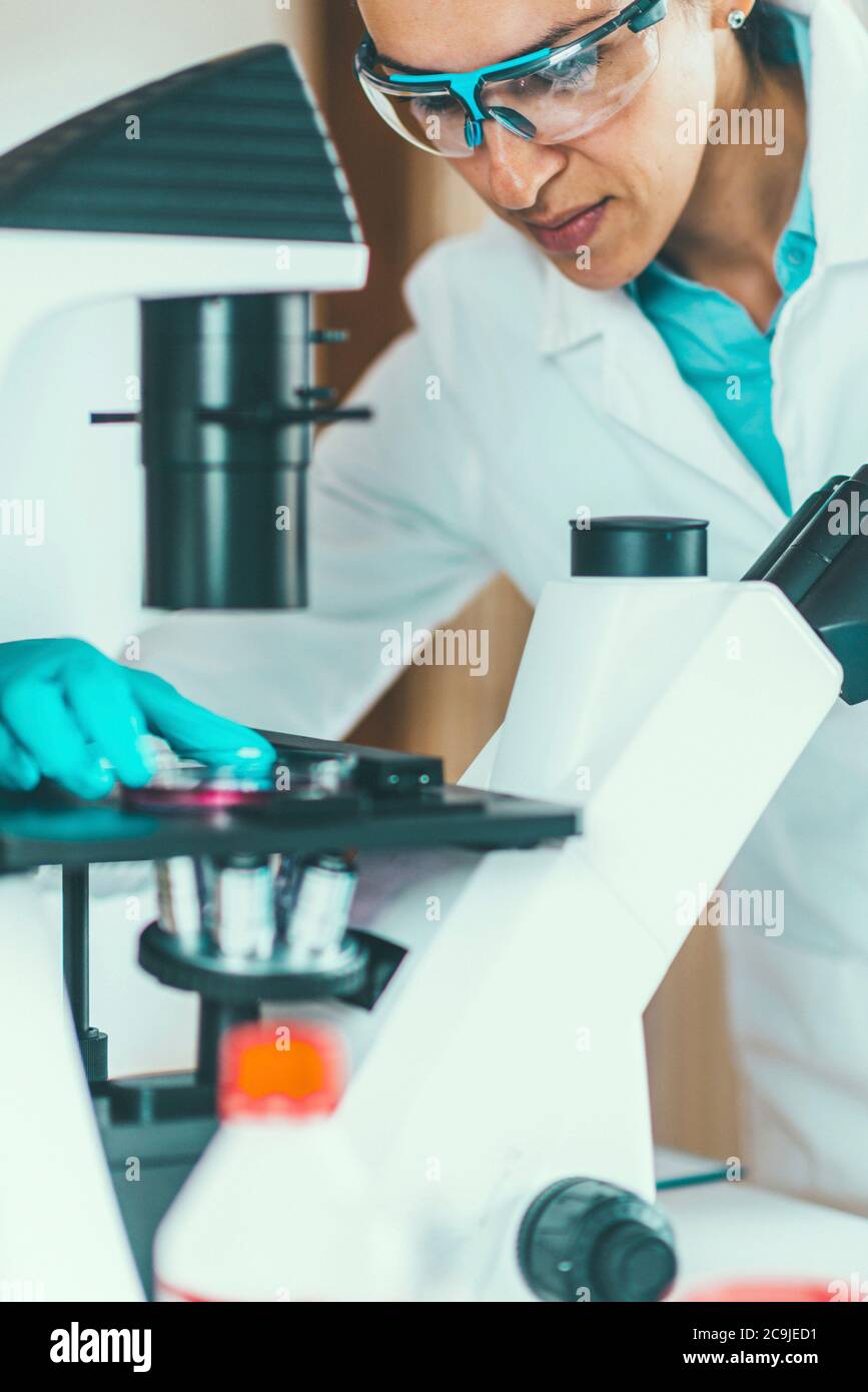 Female scientist working in laboratory Stock Photo - Alamy
