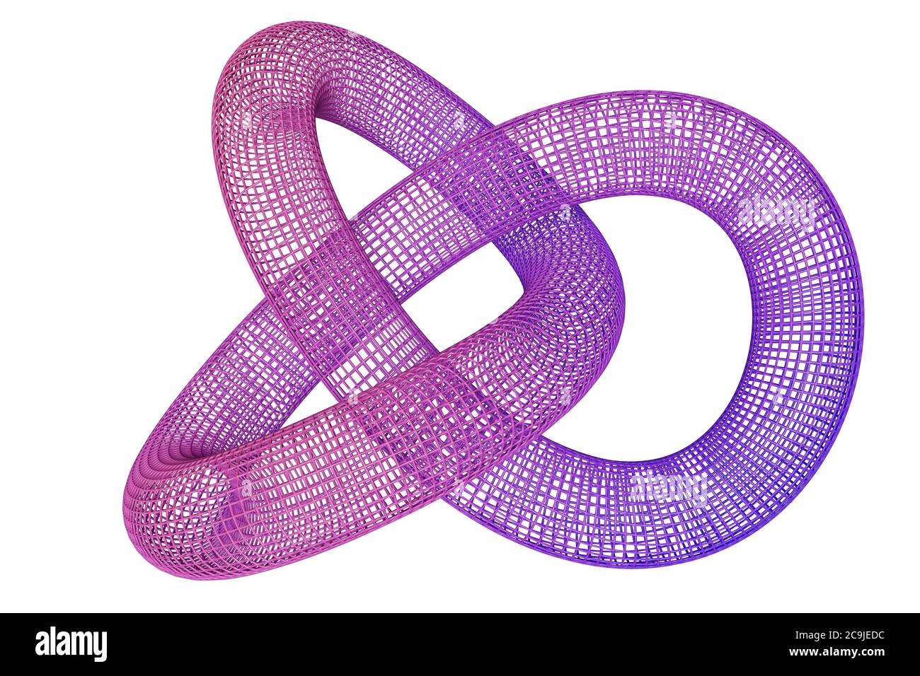 Torus Knot