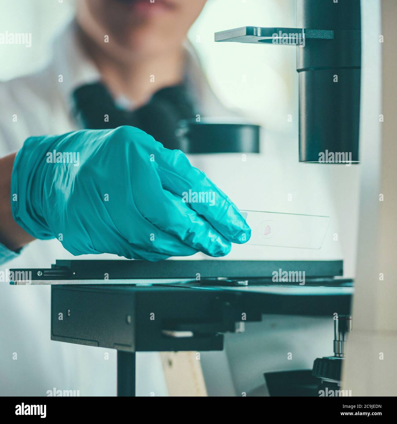 Placing on microscope hi-res stock photography and images - Alamy
