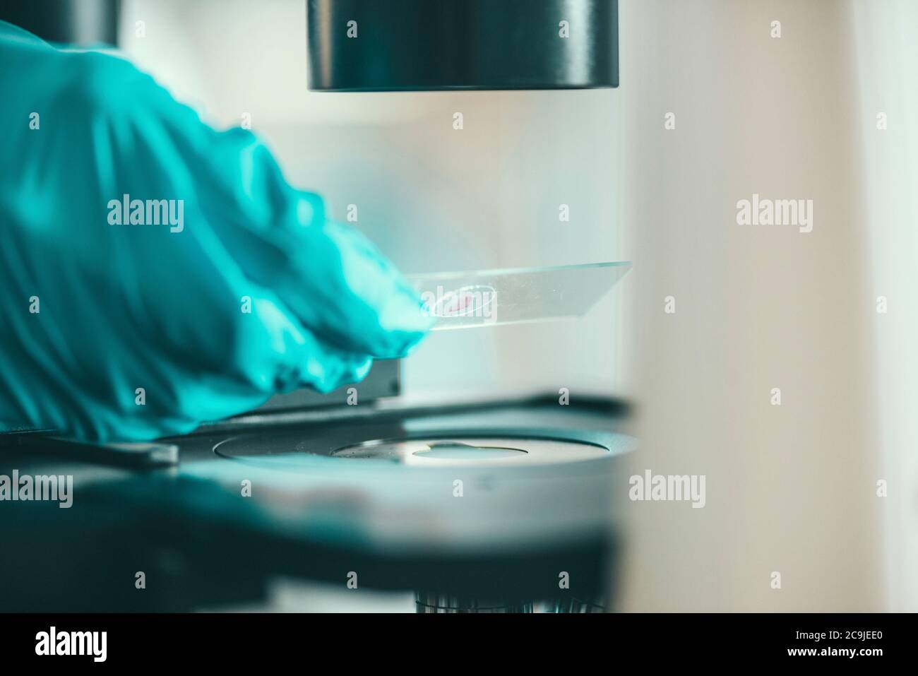 Scientific research, placing sample under the microscope Stock Photo ...