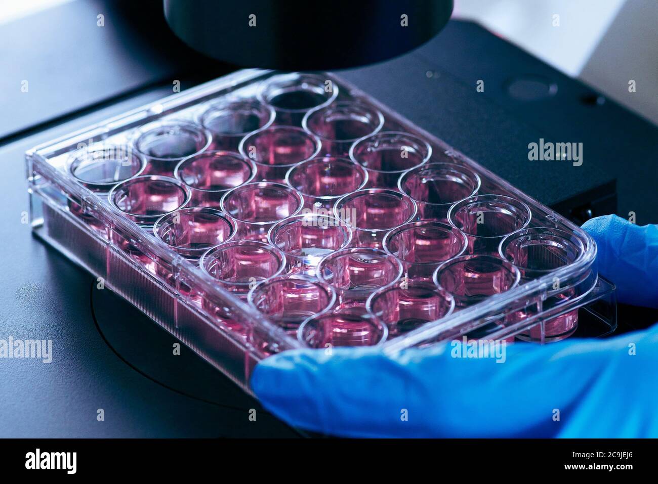 Life science research Stock Photo - Alamy