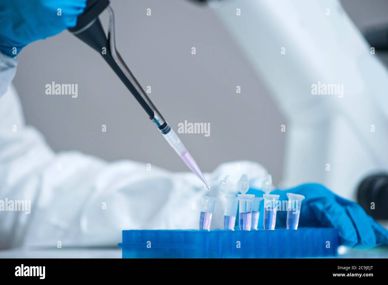 Scientist pipetting sample Stock Photo - Alamy