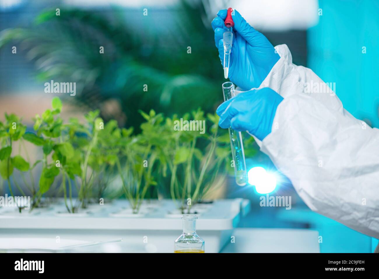 Botanical scientist hi-res stock photography and images - Alamy