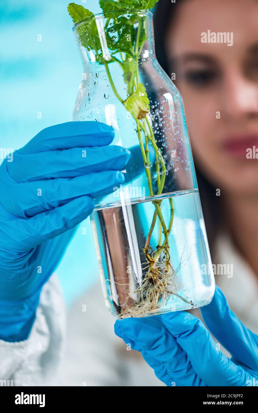 Specimen study hi-res stock photography and images - Alamy