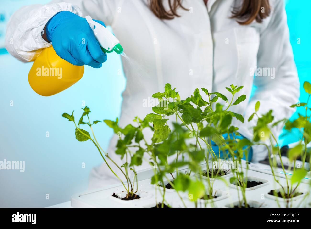 Plant sprayer laboratory hi-res stock photography and images - Alamy