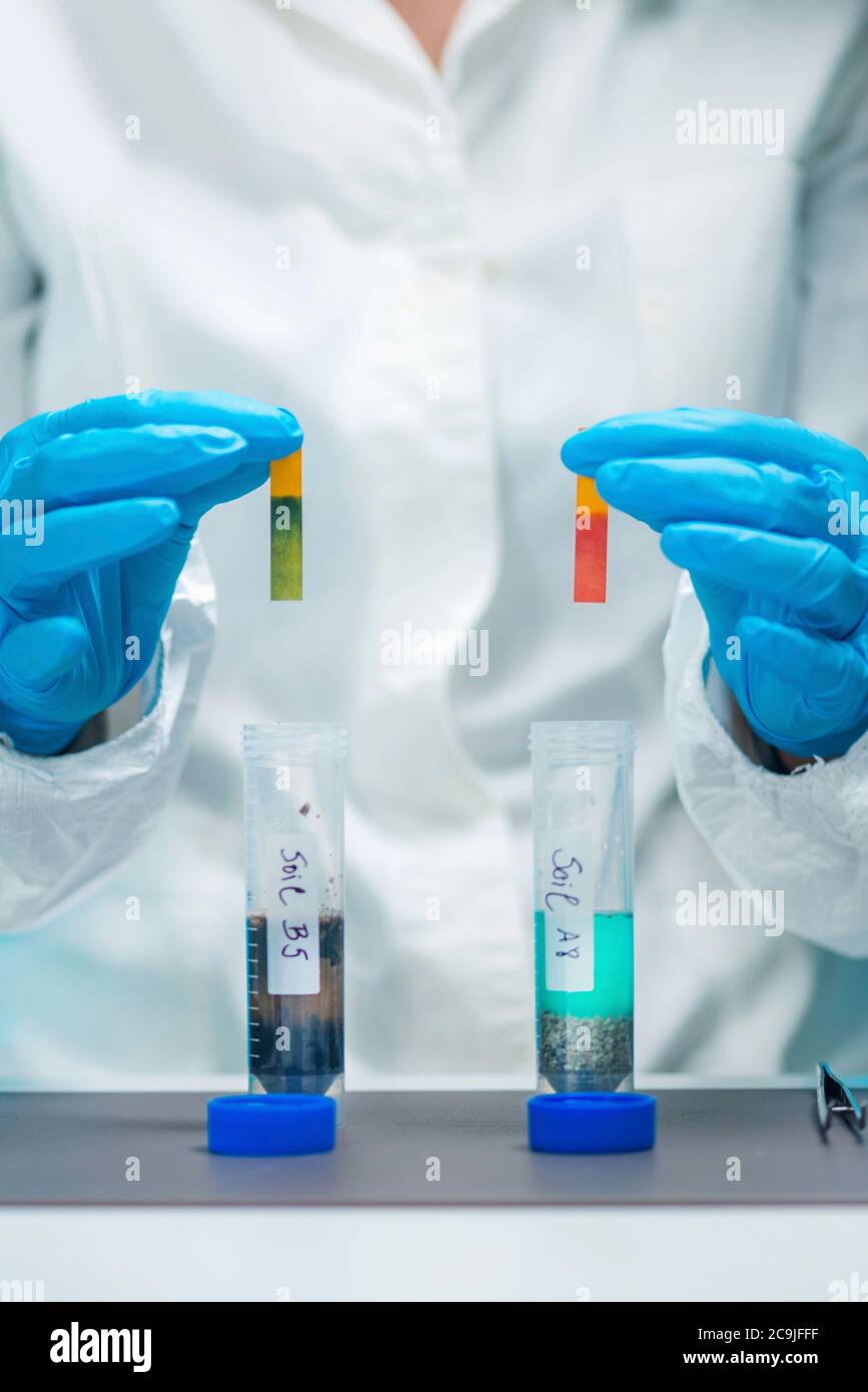 Soil quality examination in laboratory Stock Photo - Alamy