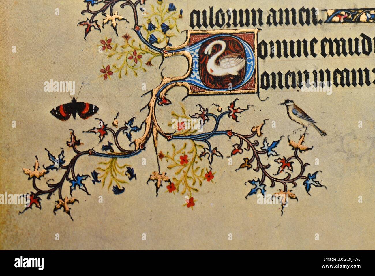 1400s book drawing hi-res stock photography and images - Alamy