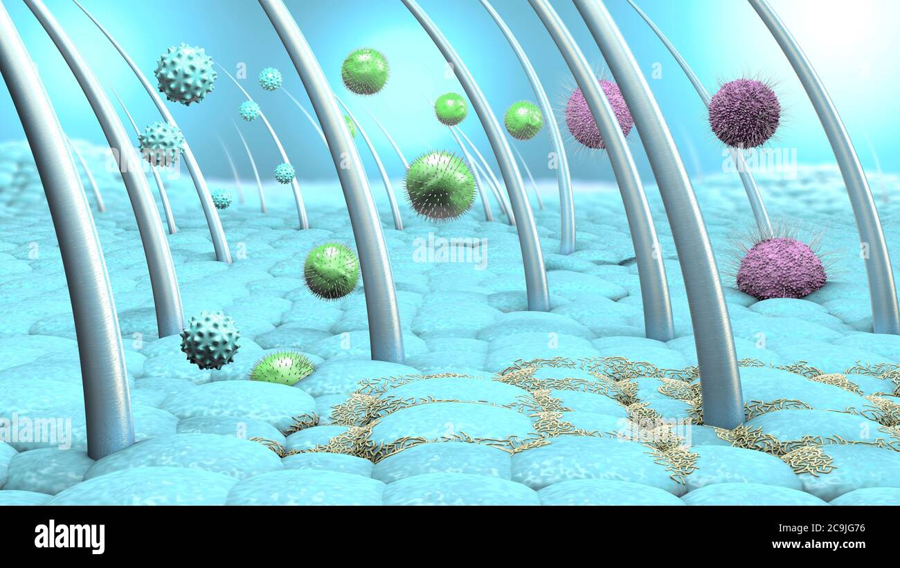 Bacteria and viruses on human skin, illustration Stock Photo - Alamy