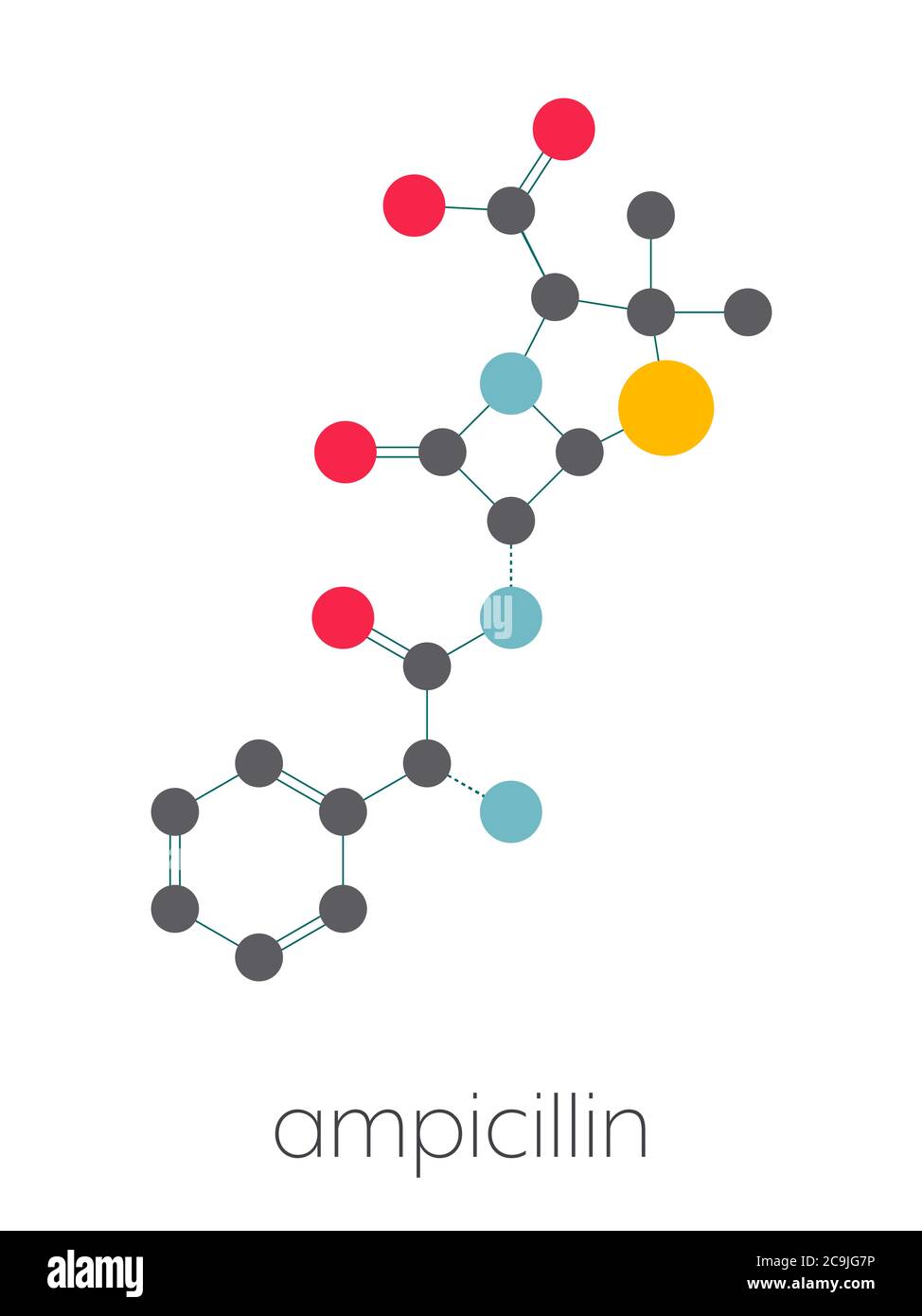 Ampicillin beta-lactam antibiotic drug molecule. Stylized skeletal ...
