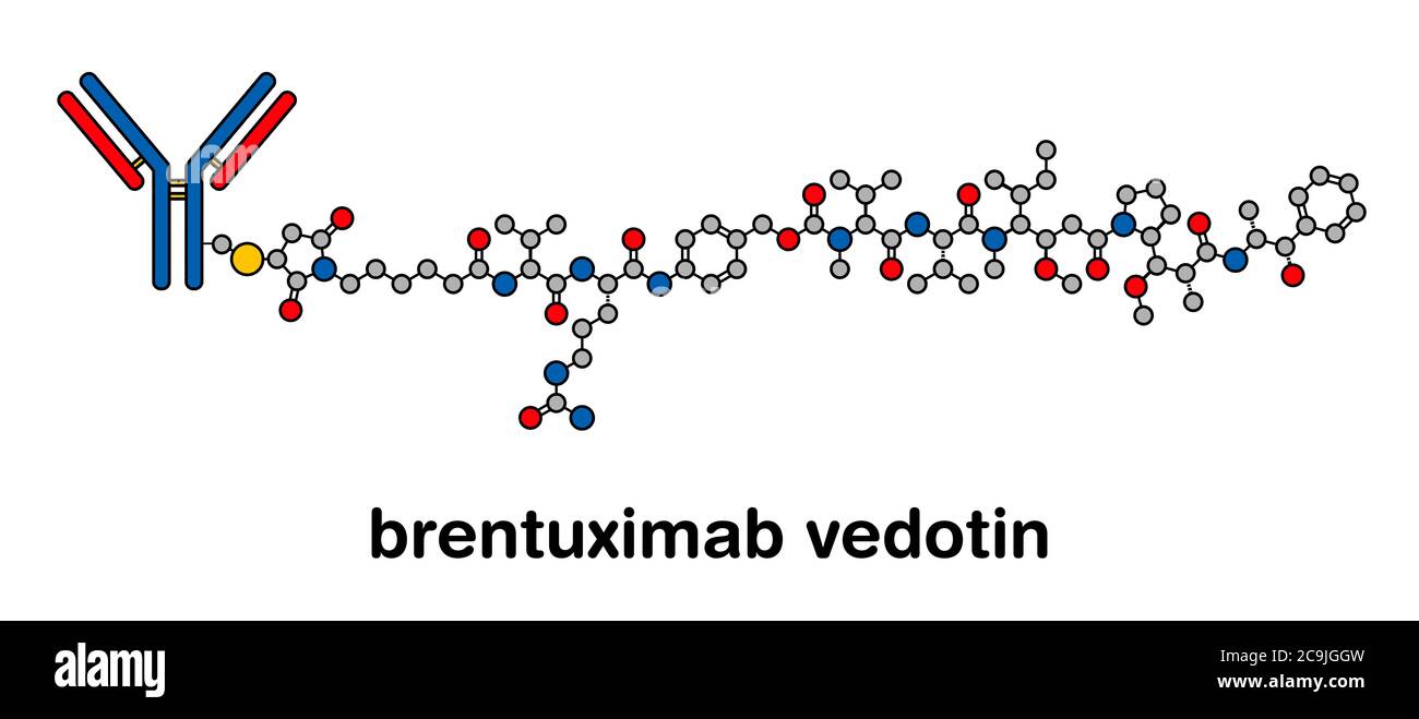 Brentuximab vedotin antibody-drug conjugate molecule. Stylized antibody ...