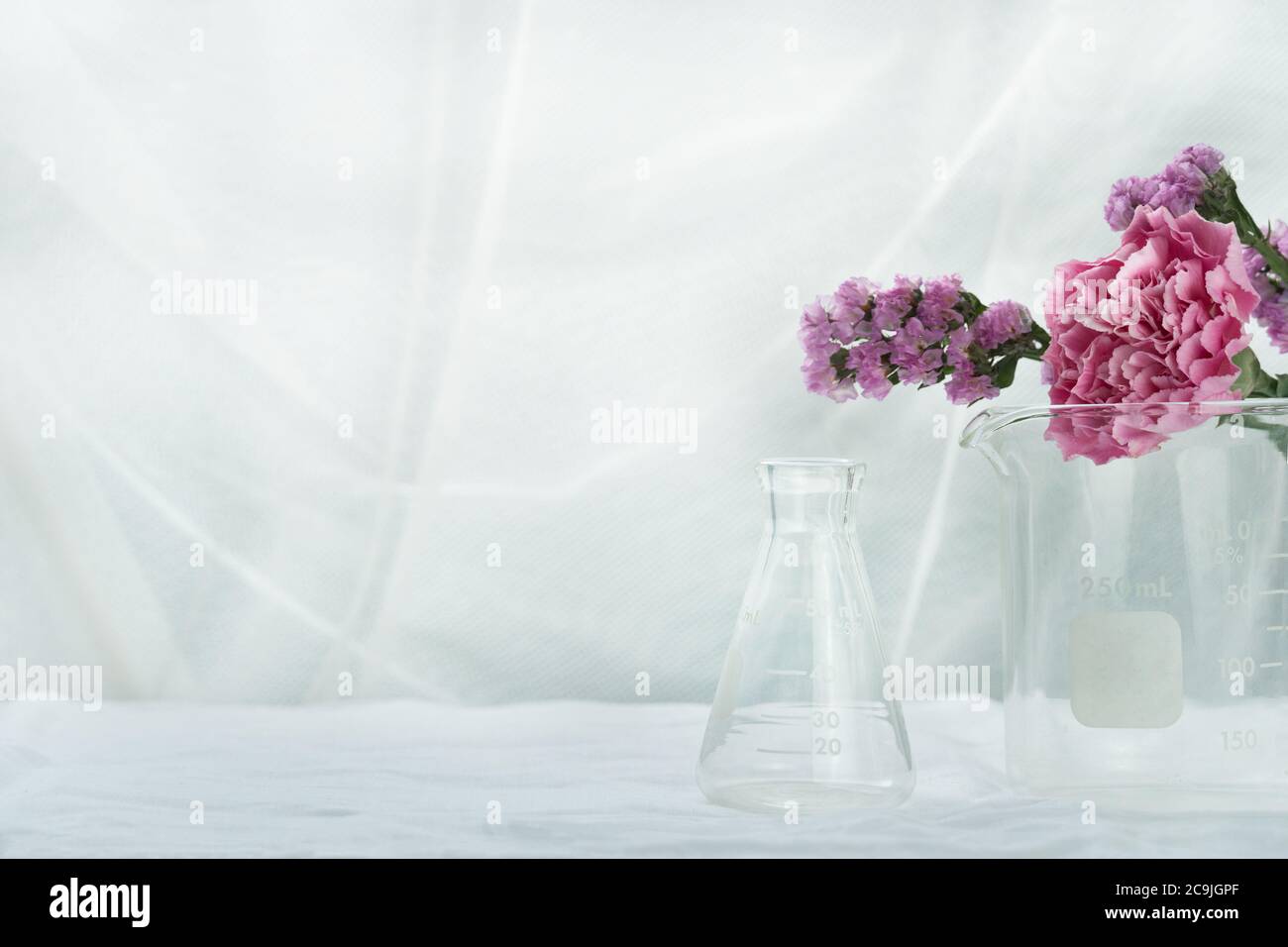 purple pink natural flower with science glass flask beaker in white ...