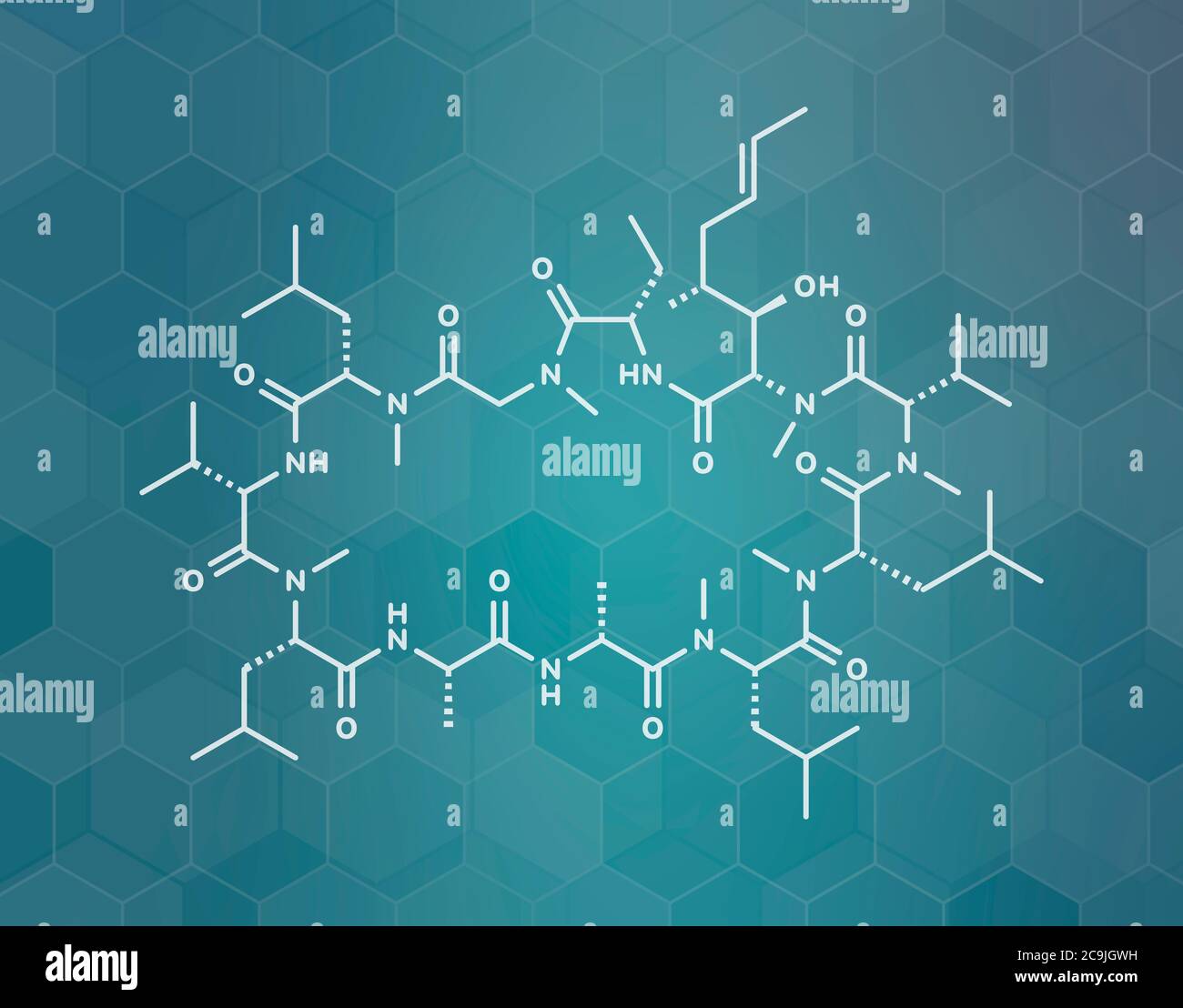 Tolypocladium inflatum hi-res stock photography and images - Alamy