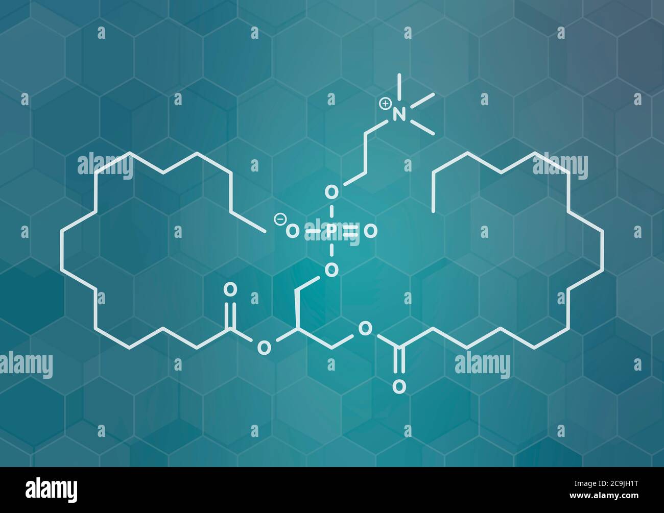 Pulmonary surfactant molecule. Chemical structure of ...
