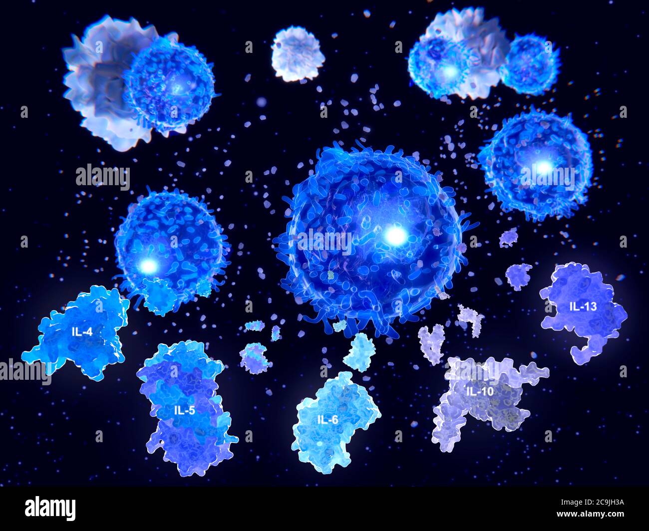 T helper cells and interleukin molecules, illustration. T helper cells ...