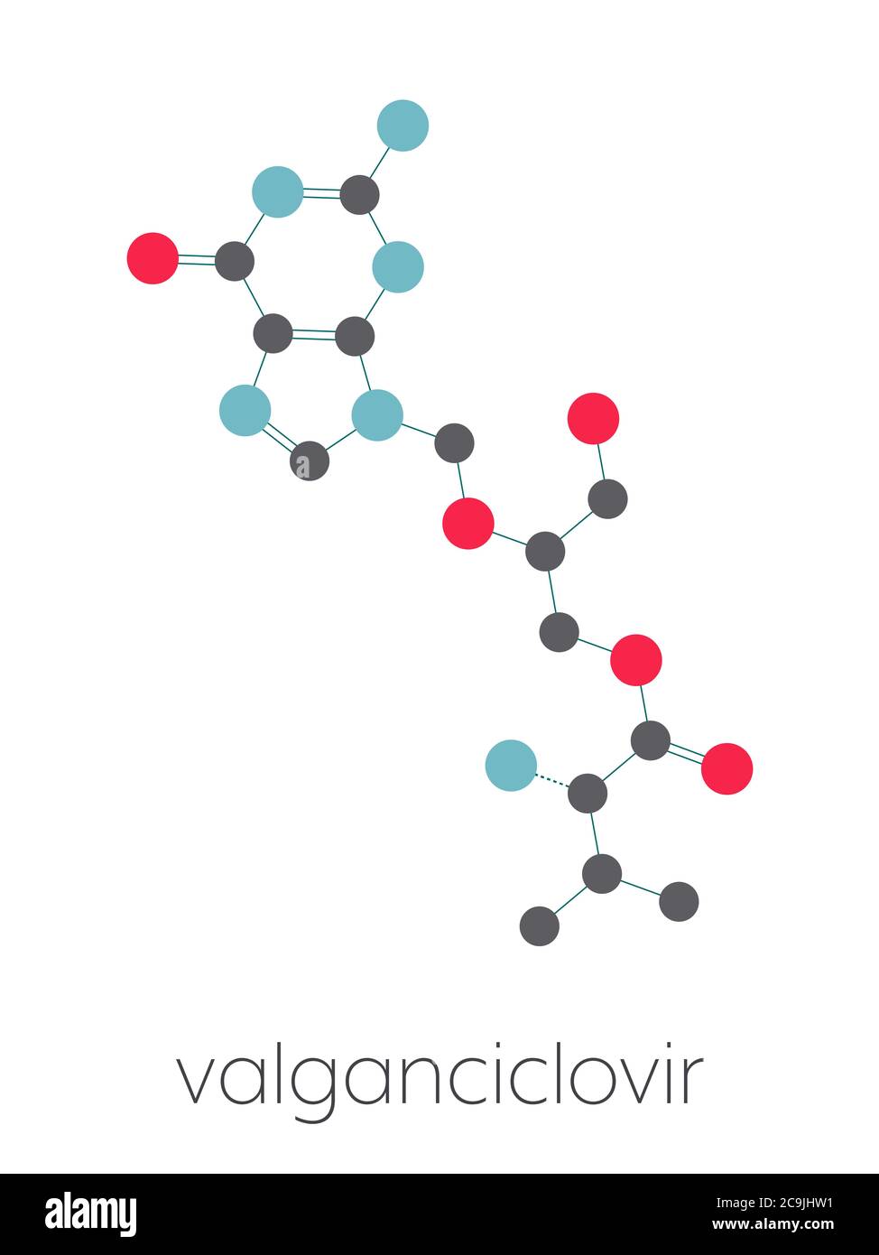 Human cmv Cut Out Stock Images & Pictures - Alamy