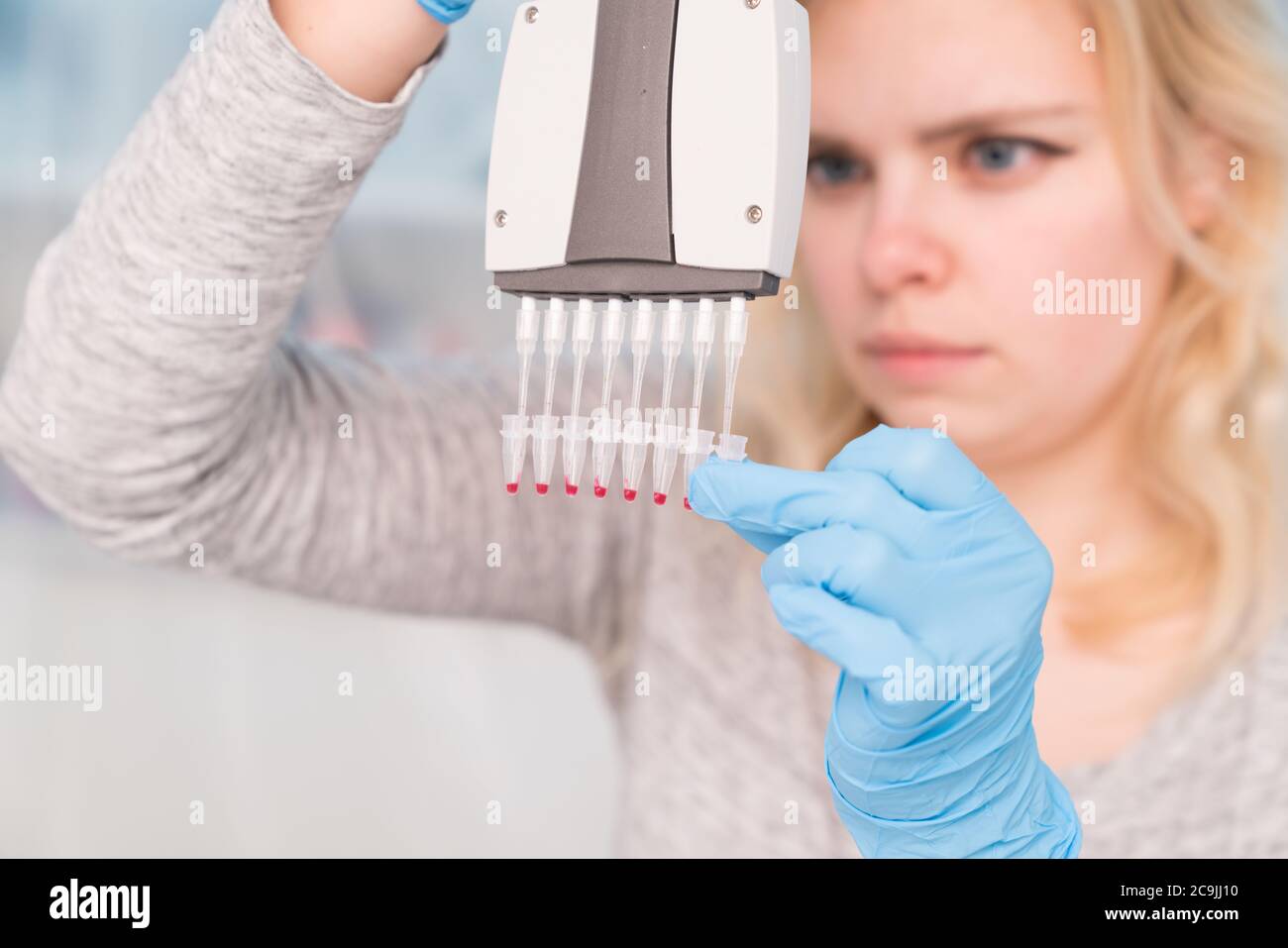 Student using multichannel pipette Stock Photo - Alamy