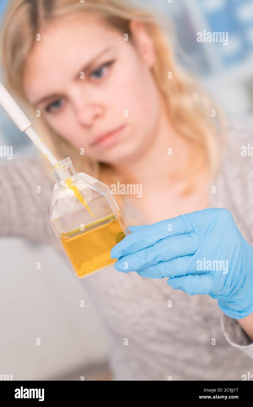 Student using pipette Stock Photo - Alamy