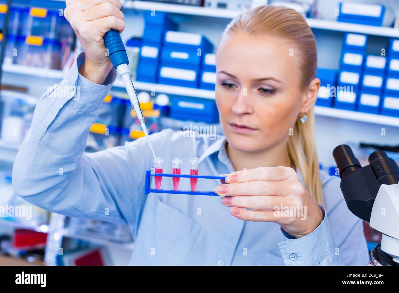 Researcher pipetting sample Stock Photo - Alamy