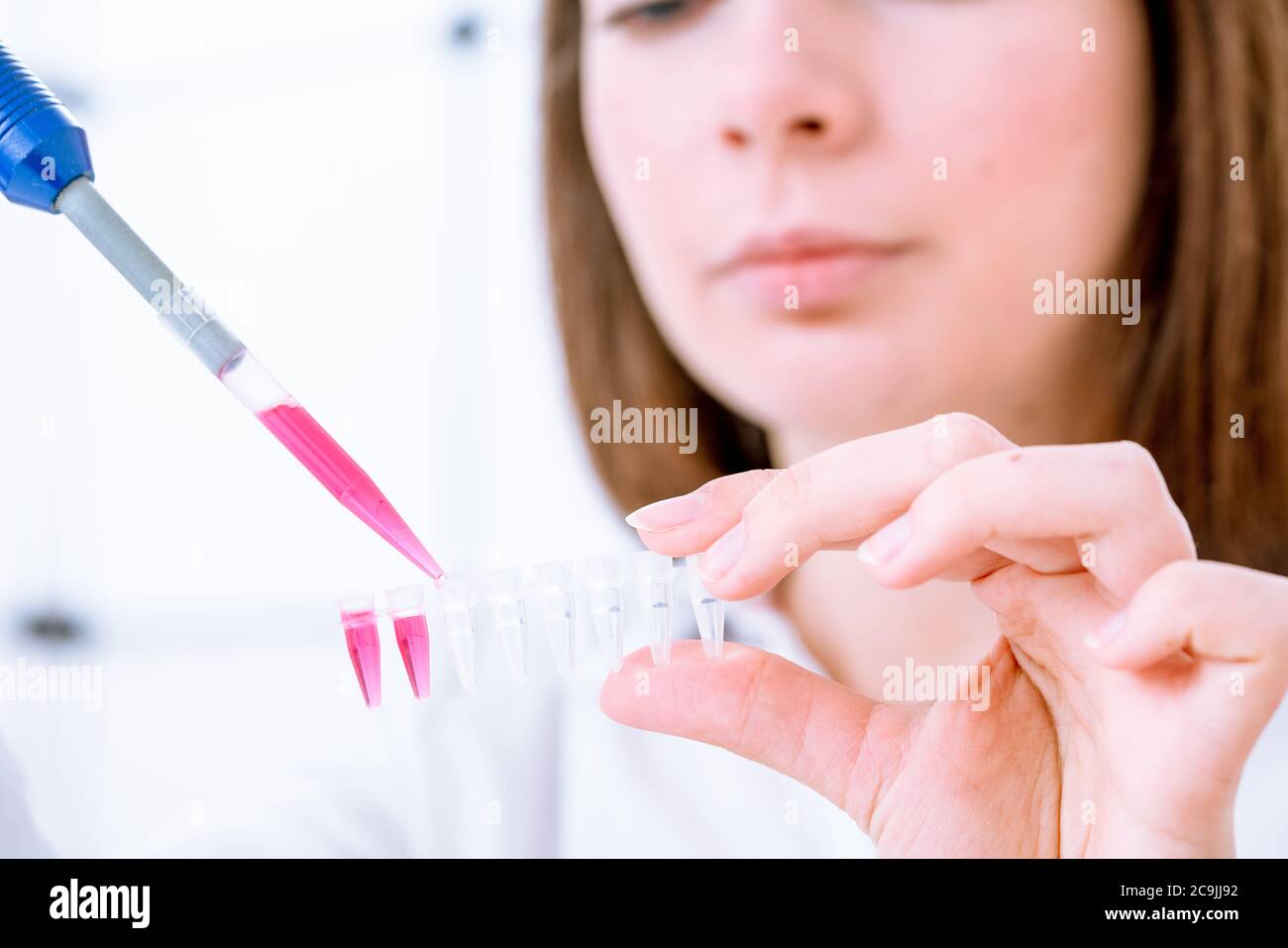 Researcher pipetting sample Stock Photo - Alamy
