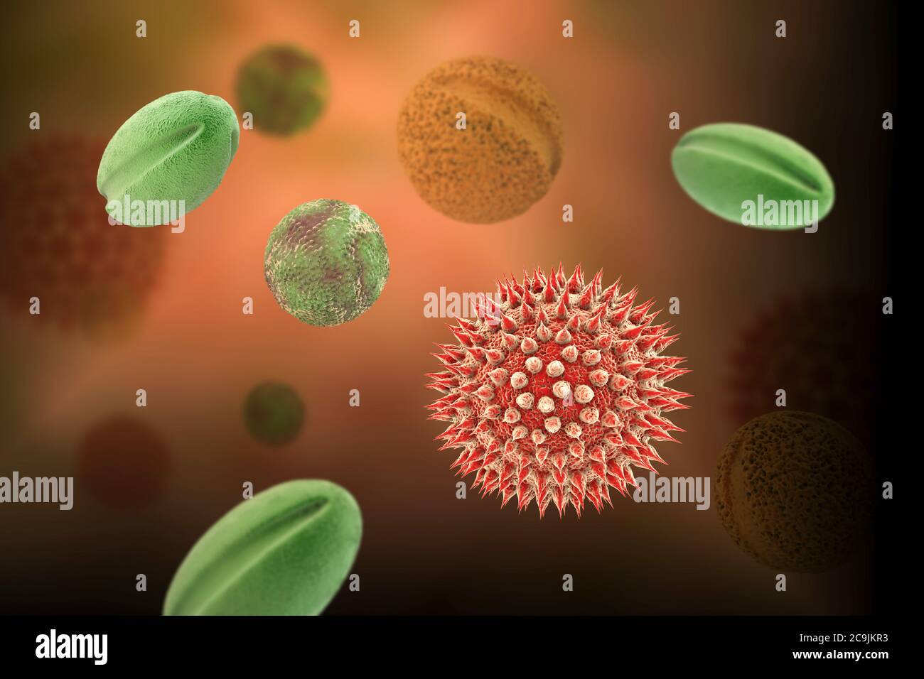 Pollen Grains From Different Plants Computer Illustration Pollen Grain Size Shape And Surface