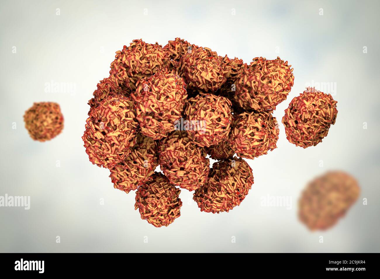 Toxic mould spores (Stachybotrys chartarum), computer illustration ...