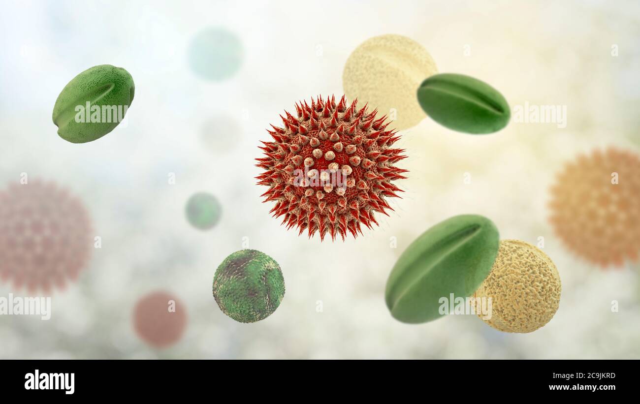 Pollen grains from different plants, computer illustration. Pollen ...
