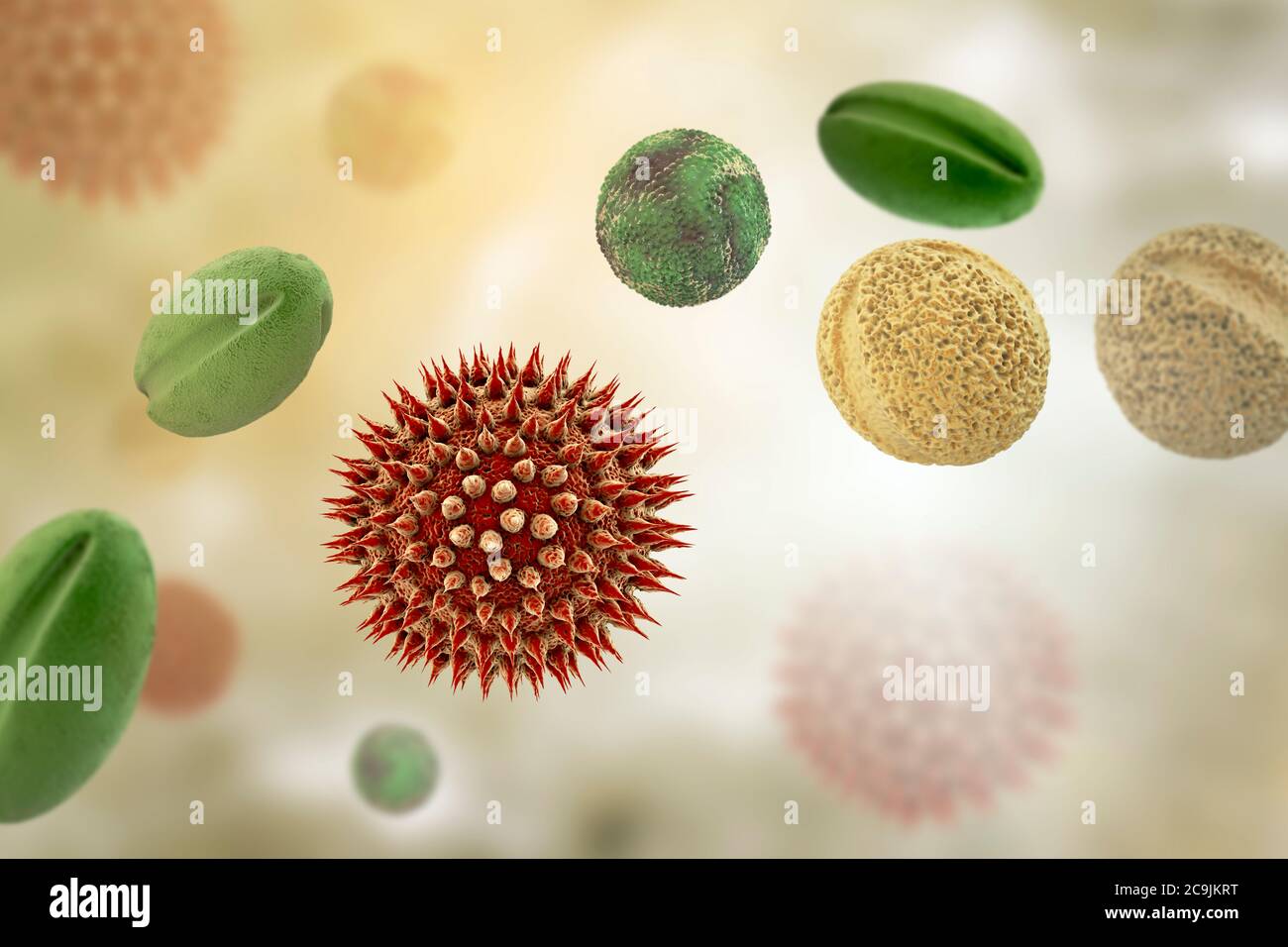 Pollen grains from different plants, computer illustration. Pollen ...
