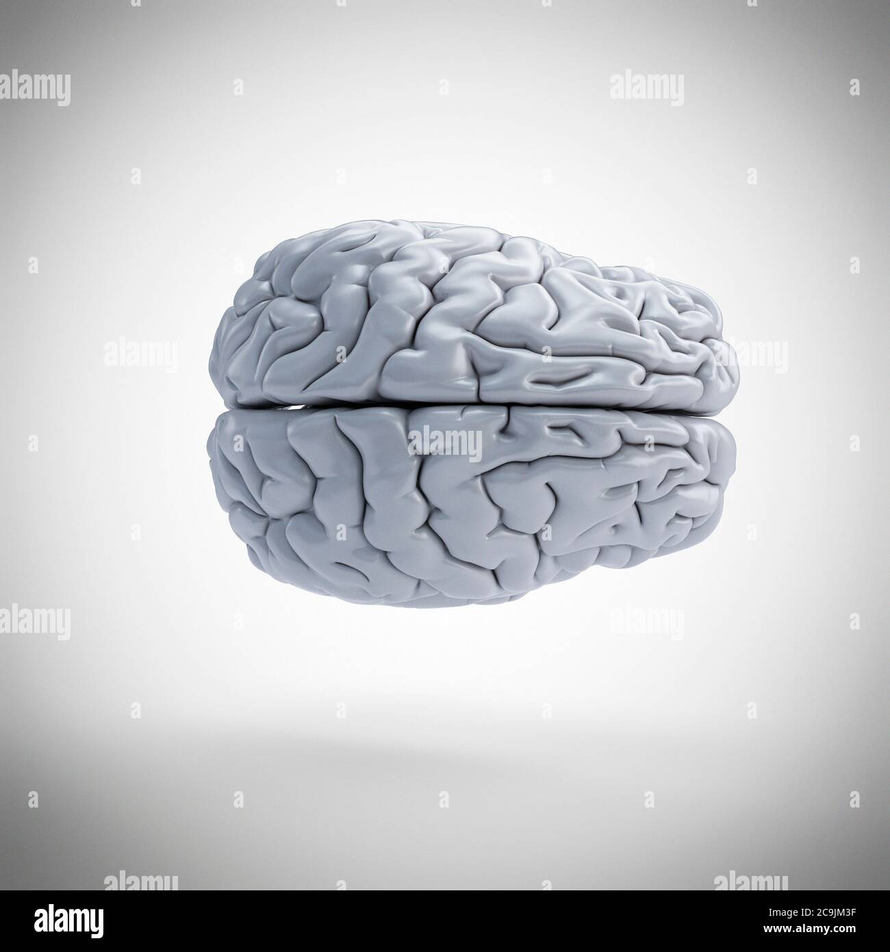 Human brain, computer illustration Stock Photo - Alamy