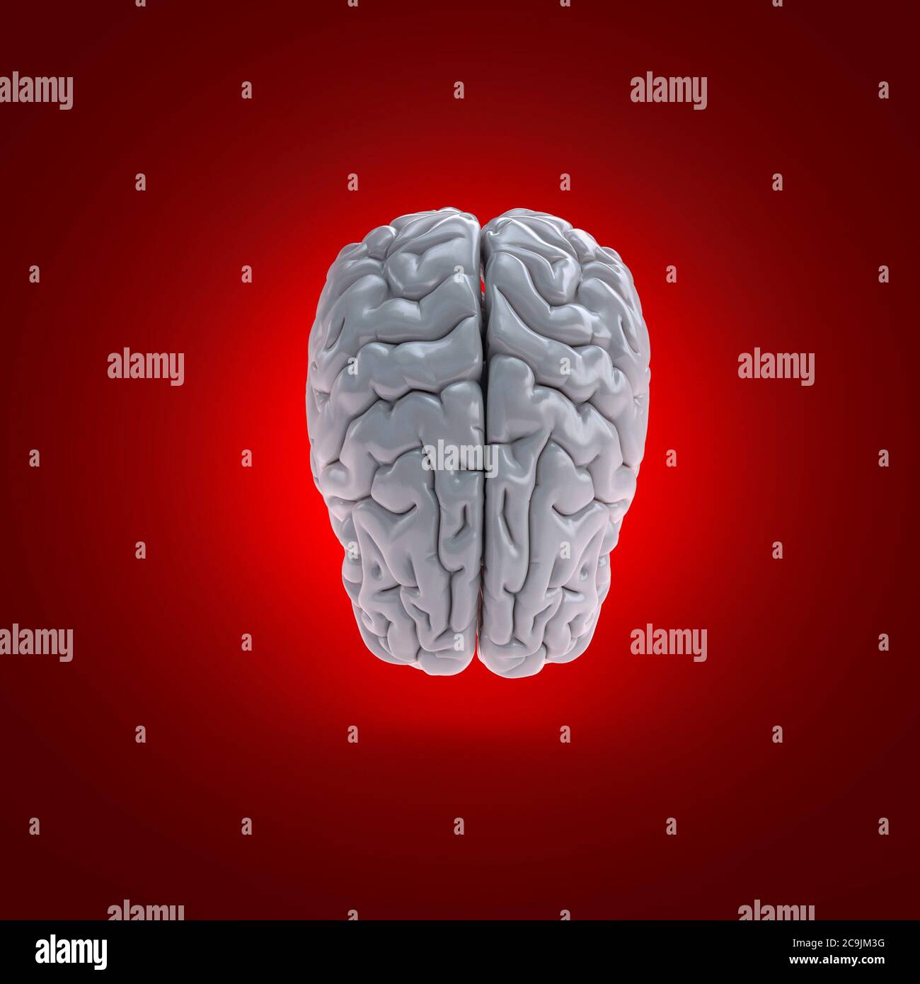 Human brain, computer illustration Stock Photo - Alamy