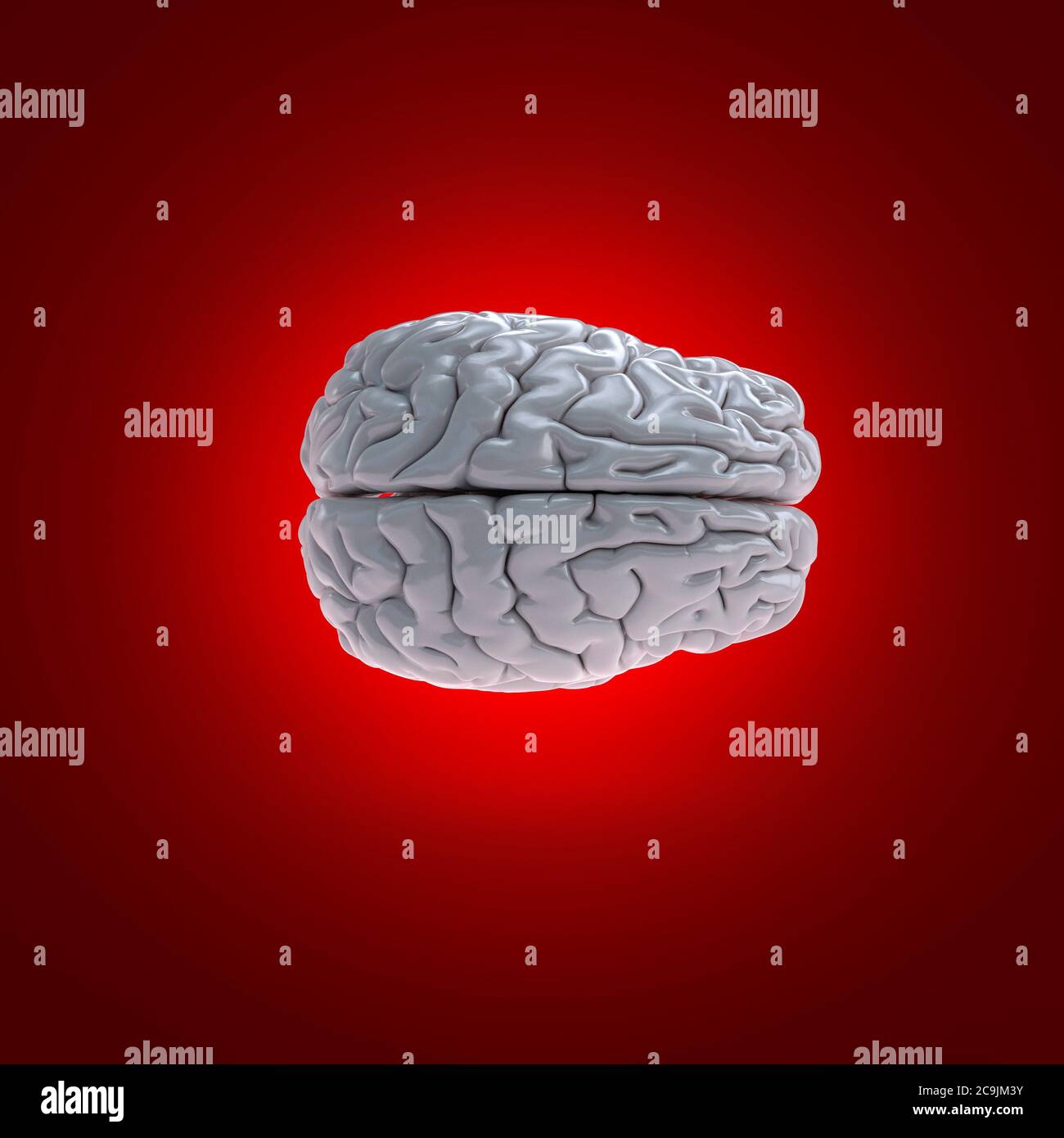 Human brain, computer illustration Stock Photo - Alamy